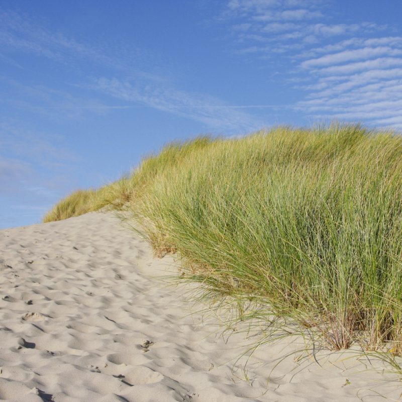 Comacchio Experience - Escursioni nel Delta del Po