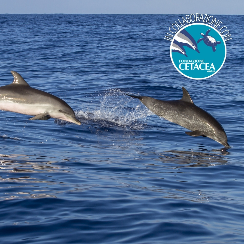Comacchio Experience - Escursioni nel Delta del Po
